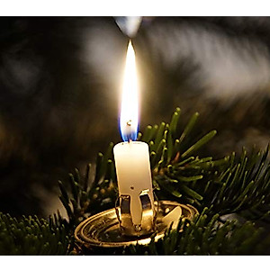 Hyoola Beeswax Candles 12 Pack - All Natural 100% Beeswax Tree Candles - 1/2 Inch Candles - Handmade in The USA - White