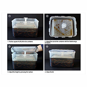 Nurumi Circle & Square Food Fermentation Storage Convenient Airtight Container (Square)
