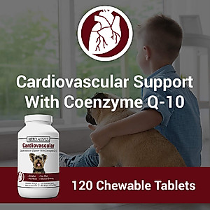 Vet Classics Cardiovascular Support with Coenzyme Q-10 for Dogs, Supports Cardiovascular System with Ziziphus, Dan Shen, Hawthorn, & Siberian Ginseng, 120 Chewable Tablets