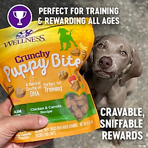 Puppy Pack: Includes Crunchy Puppy Treats And Soft Puppy Treats