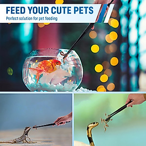 CATTOMBEEG Long Tweezers 12 Inch – Cooking Tweezers Black Stainless Steel Kitchen Tweezers Tongs For Cooking, BBQ Cooking Tongs, Pet Feeding, Repairing, Arts And Crafts - Pack of 2