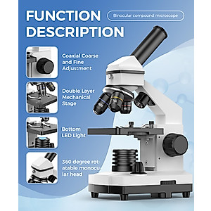 PalliPartners Compound Microscope for Adults & Kids - 100X-2000X High-Power Biological Microscope for Students, School Lab & Home Education, with Slides Set & Phone Adapter (White)