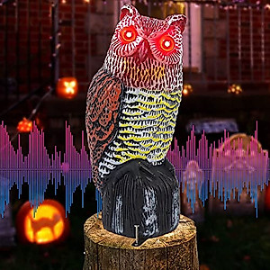 Hausse Solar Fake Horned Owl Statue, Solar Powered Halloween Motion Activated Scarecrow Deterrent Owl with Red Eyes, Scary Sound Scare Birds Away for Garden Yard Outdoor