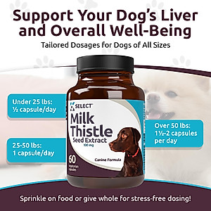 K9 Select Milk Thistle for Dogs, 100mg - 60 Vegetable Capsules - Canine Liver Health Milk Thistle Supplement - Liver Supplement - Liver Support Supplement - Milk Thistle Herbal Supplements