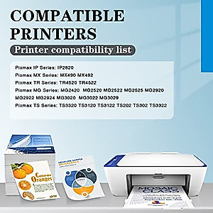 Clorisun 245 245XL Eco-Saver Remanufactured Compatible Ink Cartridge for Canon 245 245XL PG245 Pixma MG2522 TR4520 MX492 TR4522 IP2820 TS3320 TS3322 Printer (1 Print Head, 4 Black Replacement Ink)