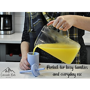 Cascade Kids Silicone Kids Cups with Straws - Set of 2, Unbreakable Training Cup with Straw for Babies and Toddlers for less mess, BPA-Free Silicone Baby cup, 6+ Month, 6oz, (Rose Pink/Stone Grey)