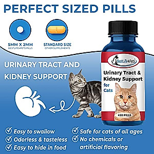 BestLife4Pets Cat UTI Urinary Tract Infection & Kidney Support Treatment - All Natural Medicine to Stop Frequent Urination - Cats Renal Health and Bladder Control - Easy to Use Natural Pills
