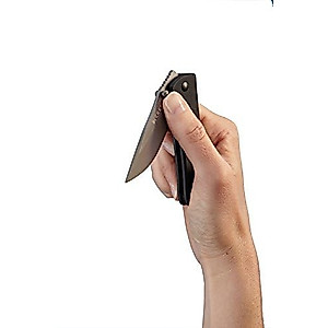 CRKT Drifter EDC Folding Pocket Knife: Everyday Carry, Gray Ti Nitride Blade, Thumb Stud Opening, Black G10 Handle, Pocket Clip 6450K