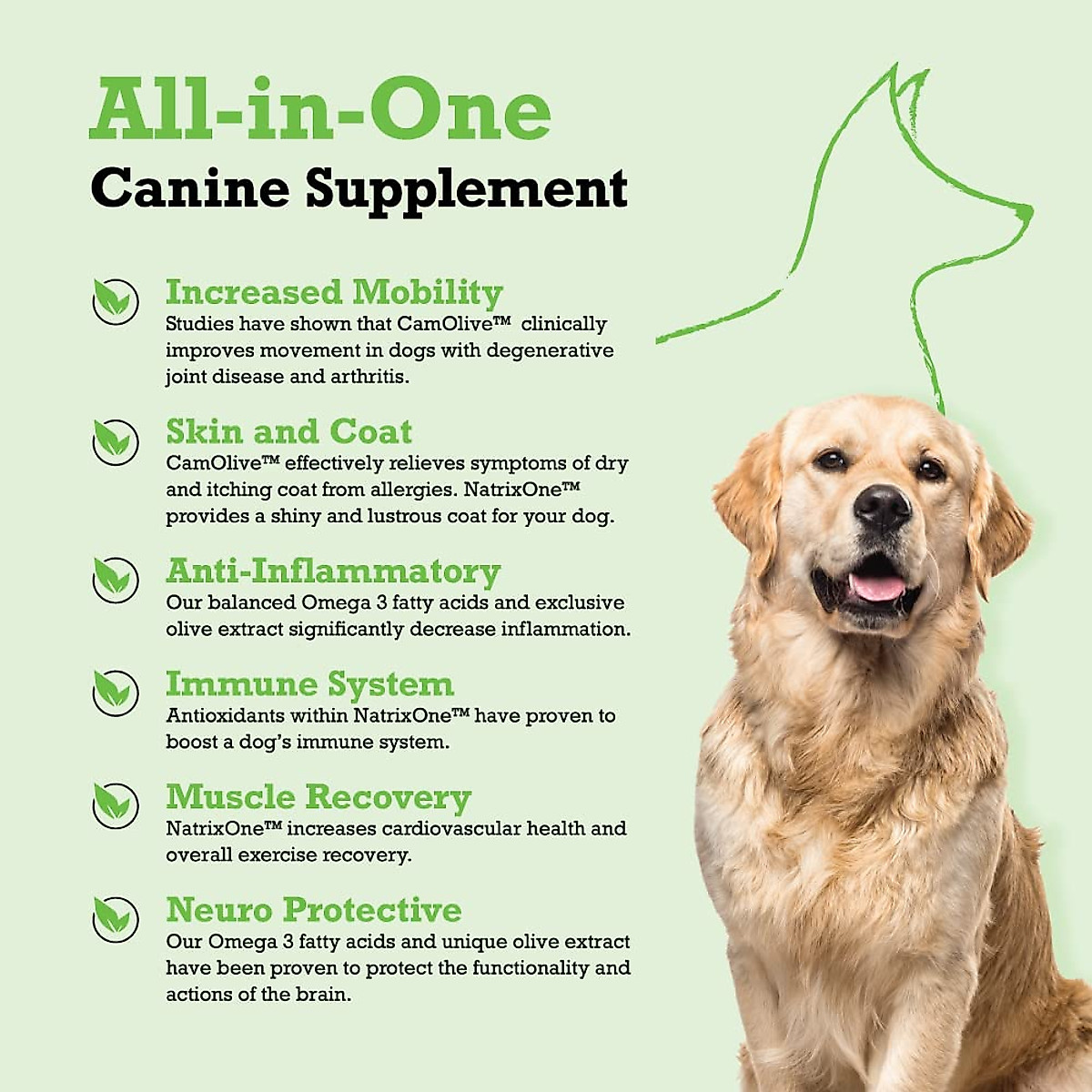 Camelina Oil for Dogs, Dog Skin and Coat Supplement All-Natural Supplements, Support Hearts, Joints, Coats, Skin and Anti-inflammatory Systems, Protective & Maintenance Care, 8 oz