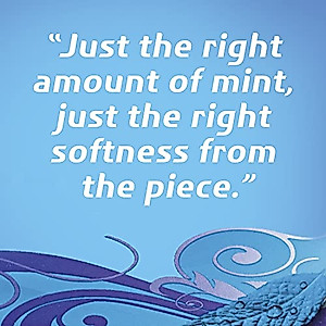 Dentyne Pure Mint with Herbal Accents Sugar Free Gum, 10 Packs of 9 Pieces (90 Total Pieces)