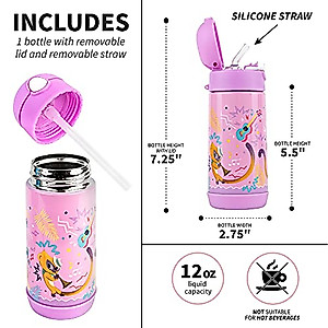 Franco Kids Double Wall Insulated Stainless Steel Water Bottle, 12-Ounce, Sony Vivo
