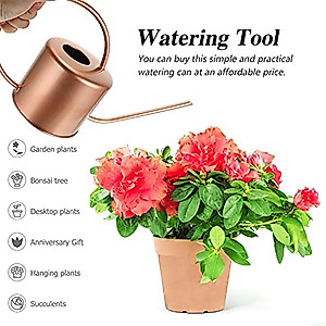 Watering can Spout Watering Pot Plant misting Water Bottle Kids Watering Spray Bottle Water Pitcher for Plants Kettle with Long Spout Child Outdoor Stainless Steel Succulent Plants