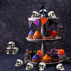 hanaiette 10 Pieces Mini Halloween Skulls Heads Skull Decor for Halloween Party, Halloween Decor Props, Table Decor Outdoor Halloween Home Decor Gift