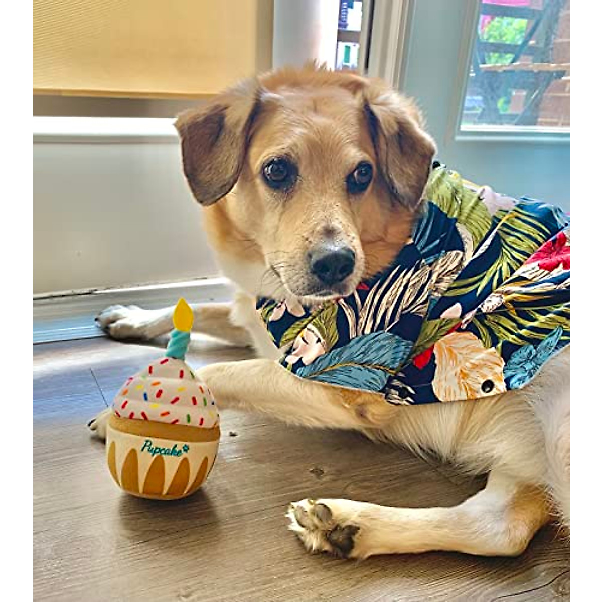 Nestpark Dog Birthday Toy - Pup Cake Puppy Birthday Dog Toy Cupcake Plush Squeak and Crinkle Dog Birthday Gift