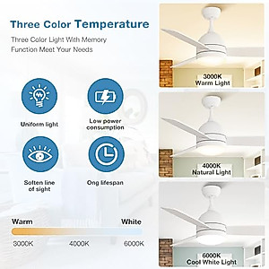 warmiplanet Ceiling Fan with Lights Remote Control, 48-Inch, White, Silent Motor, 3-Blades