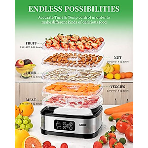 GDOR Food Dehydrator Includes Mesh Screen, Fruits Roll Sheet, Recipes, 5 Trays Dehydrator Machine with Temp Control & 72H Timer & LED Display, for Jerky, Fruit, Veggie, Herb, Dog Treat, BPA-Free