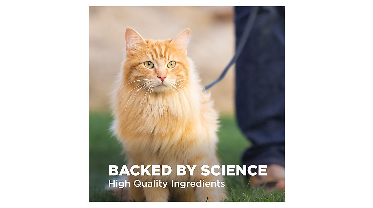 Nutramax Laboratories Dermaquin Skin Support Sm/Med Dogs 5-30 lbs ...