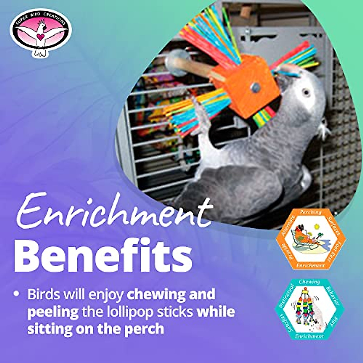 Super Bird Creations SB509 Spin-a-roo Bird Perch Toy, Small/Medium Bird Size, 8.5" x 6.5" x 6.5"