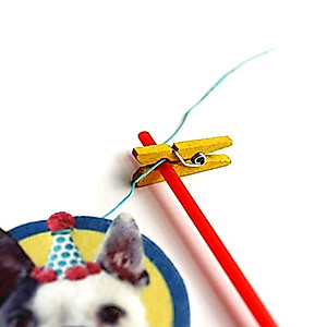 English Bulldog cake garland, photographic dog birthday part decoration