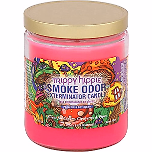 Smoke Odor Exterminator 13 oz Jar Candles Trippy Hippie, Pack of 2