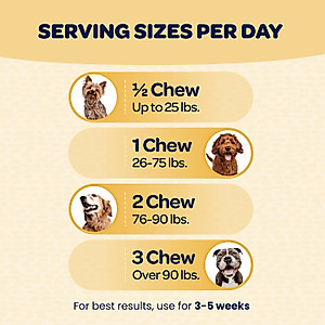 Ready Pet Go! Omega 3 & Turmeric Chews for Dogs | Hip & Joint Support | Fish Oil for Dog Shedding, Skin Allergy, Itch Relief | 90 Chews Each