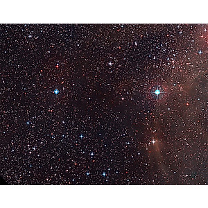 HS-46 Segull Nebula Star disc for The Homestar Flux