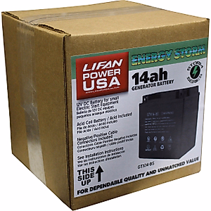Lifan Energy Storm Acid Cell Starter Battery 12V 15 Amp