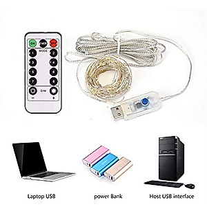 100 LED Cluster Fairy Light,Silver Wire Firecrackers String Copper Garland,USB Interface,Waterproof,Christmas Holiday Decoration,Indoor/Outdoor Bedroom,Garden,Yard,Patio (8.2ft,2 Pack,Warm White)