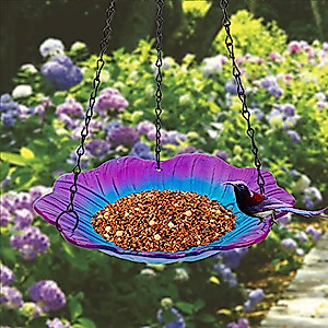 MAGGIFT Solar Powered Bird Bath for Outdoor Hanging, Wild Bird Feeder Glass Flower Seed Tray Outside, Waterproof Birdfeeders Solar Garden Crackle Glass Ball Light Warm White LED Landscape Lighting