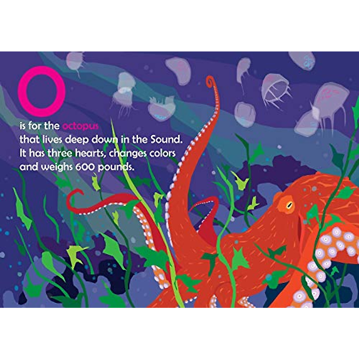 S is for Seattle (Alphabet Cities)