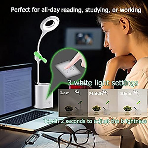 Seaciyan Led Desk Lamps, Small Cute Desk Lamp with 3 Lighting Modes, Modern Desk Ring Night Light with Pen Holder and Green Mini Fan for Home Office Bedroom