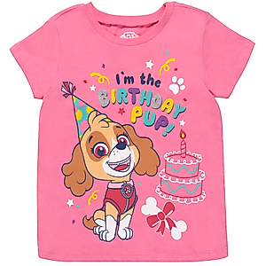 Paw Patrol Skye Birthday Toddler Girls T-Shirt Pink 4T