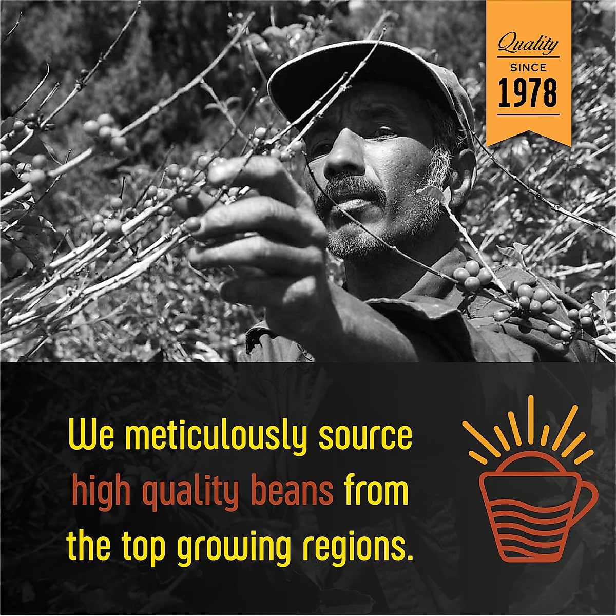 San Diego Coffee Island Blend, Medium Roast, Whole Bean Coffee, 5-Pound Bag Café en grano tostado