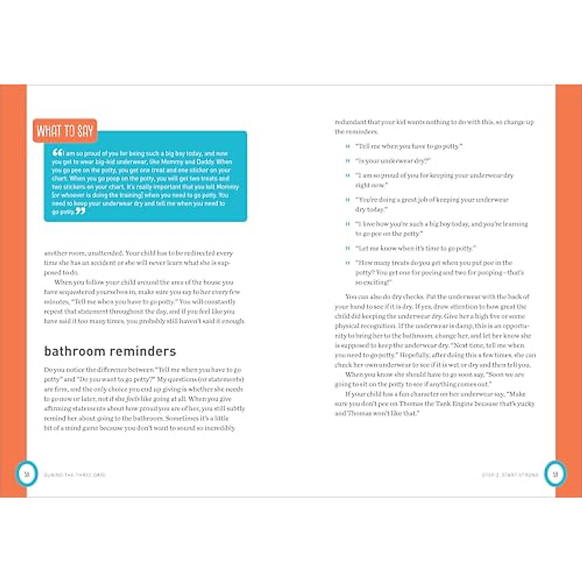 Potty Training in 3 Days: The Step-by-Step Plan for a Clean Break from Dirty Diapers