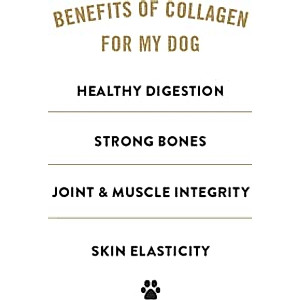 TRURANCH Collagen Pretzels, Bully, Healthy Joint Support Dog Treat, Rawhide Alternative, Skin & Coat Health, 1 Bag, 8 Count