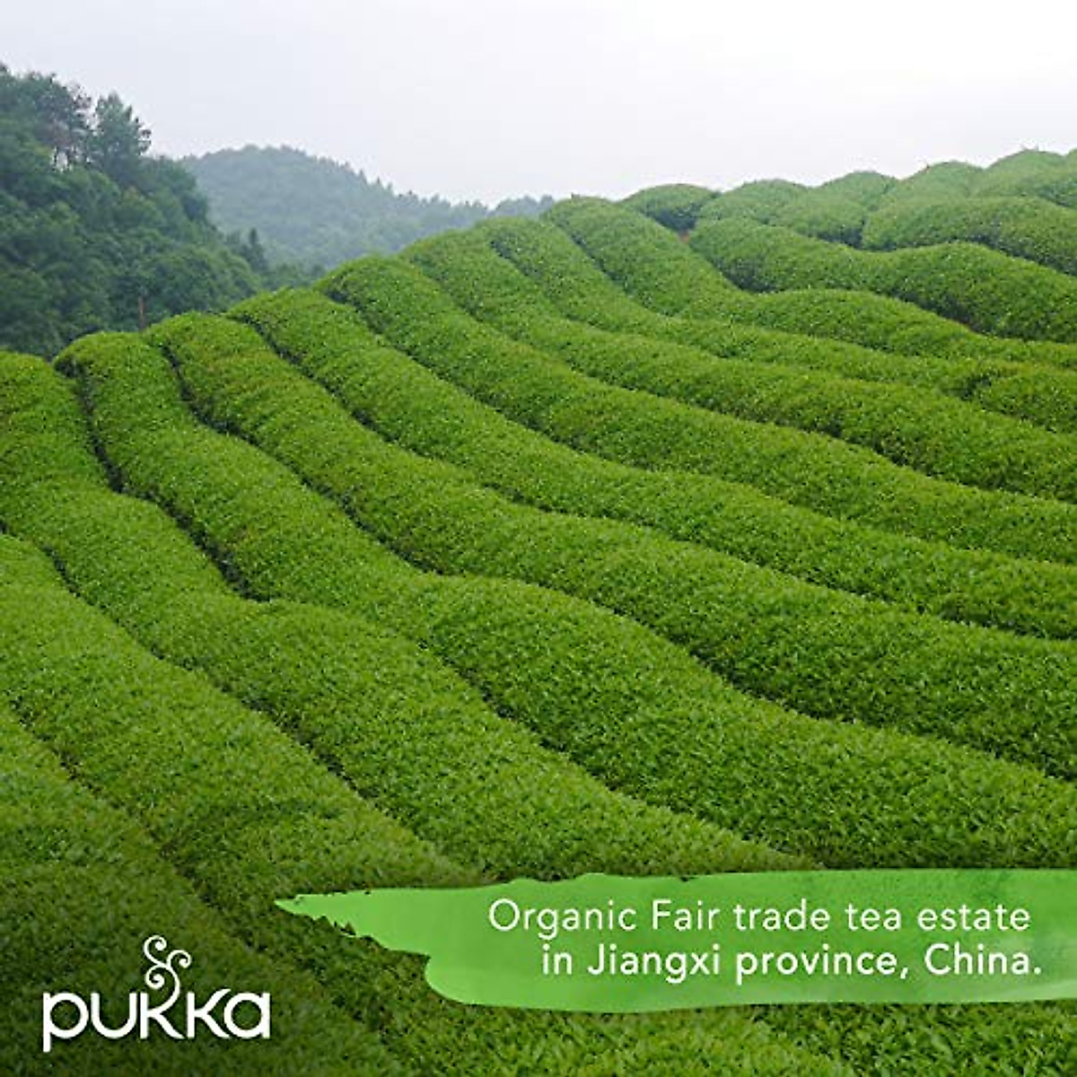 Pukka Supreme Matcha Green, Organic Herbal Green Tea with Oothu, Sencha & Suio Gang, 20 Count (Pack of 3)