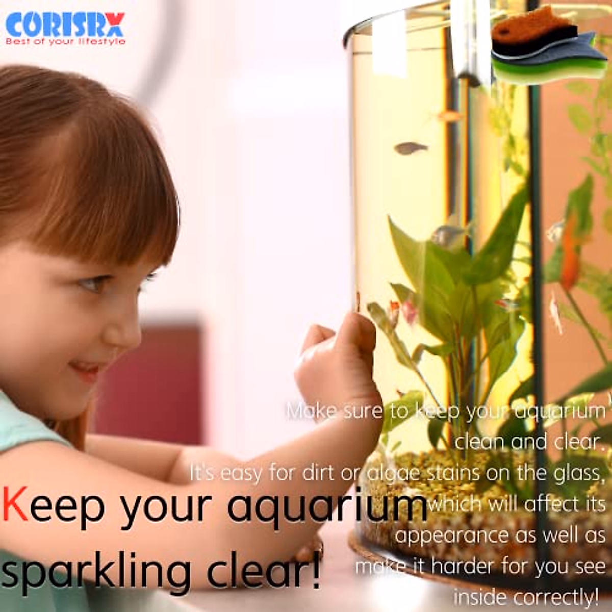 3 Packs Aquarium Fish Shape Glass Cleaner Sponge, 4 Kinds of Density Cleaning Sponge for Glass Walls, Fish Tank Scraper Pad for Glasses Aquariums - Hand Held Cleaner Scrubber Pad, Limpiador acuarios