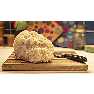 Hodgins Harvest Extra-Large Lion's Mane Mushroom Grow Kit (7lbs) | USDA Certified Organic | Grow Your Own Delicious Gourmet Mushrooms at Home