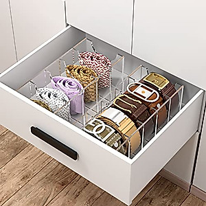 NIUBEE Belt Organizer, Acrylic Belt Storage Holder for The Closet, 5 Compartments Display Case for Tie and Bow Tie