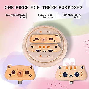 HRNAKDFKL Portable Charger - Cute Power Bank Emergency Charging 2 Pack 800mAh USB C iOS Power Bank with LED Night Light External Battery Pack Charger Compatible with iPhone & Type C (USB C & iOS)