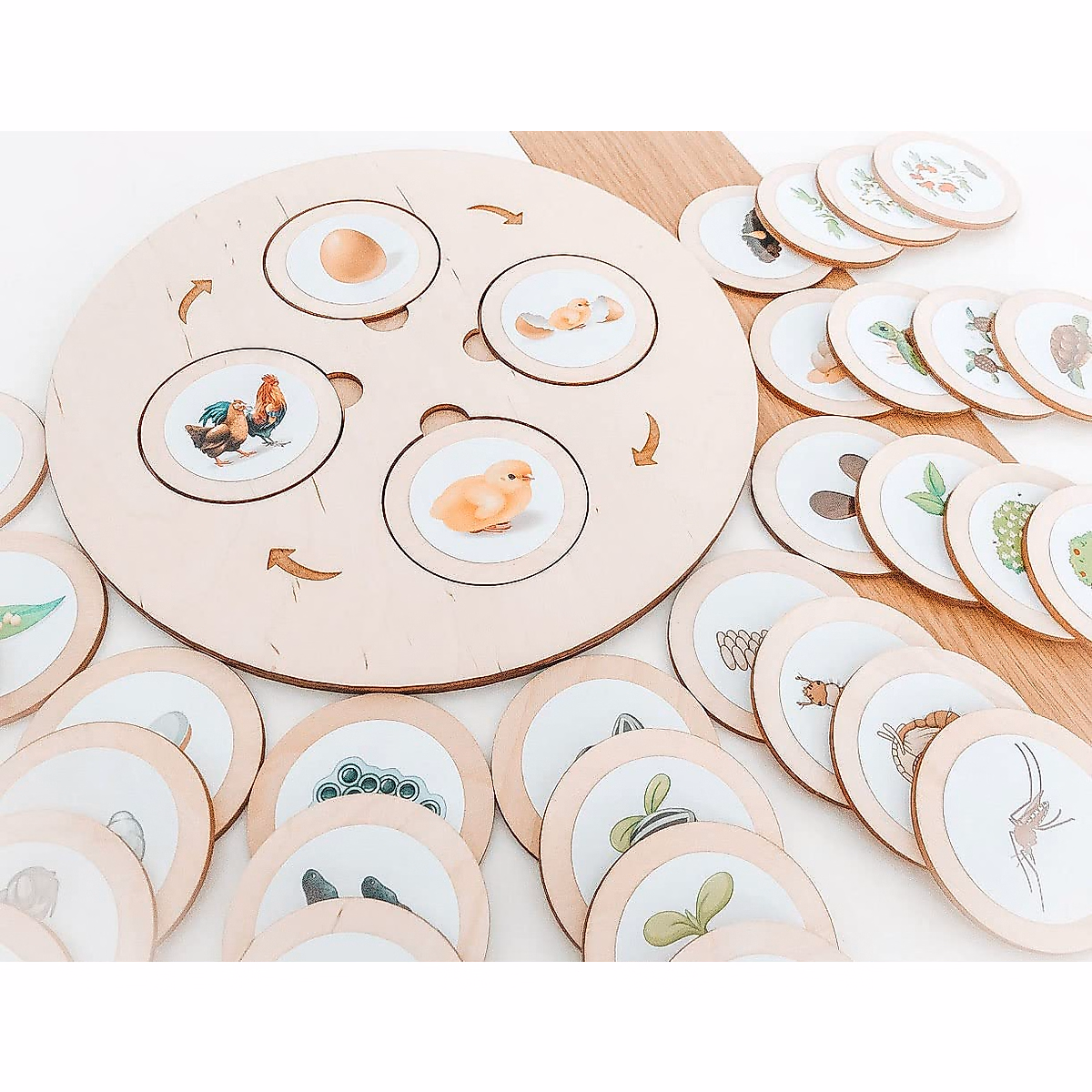 Montessori Life Cycle Puzzle Board Kit, Life Cycle Puzzle Kit of Animals, Plants and Insects, Toddler Puzzle Development Toys, Early Educational Toy for 3~6 Years Old Preschool Kids