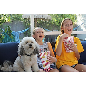 ViziY 32 Popcorn Boxes Red and White Striped-Retro Vintage Paper Movie Night Design-Theater Container Cup Holder-Carnival Party Decorations-Bottom Insert Card Helps Prevent Leaks Bonus-Emoji Stickers