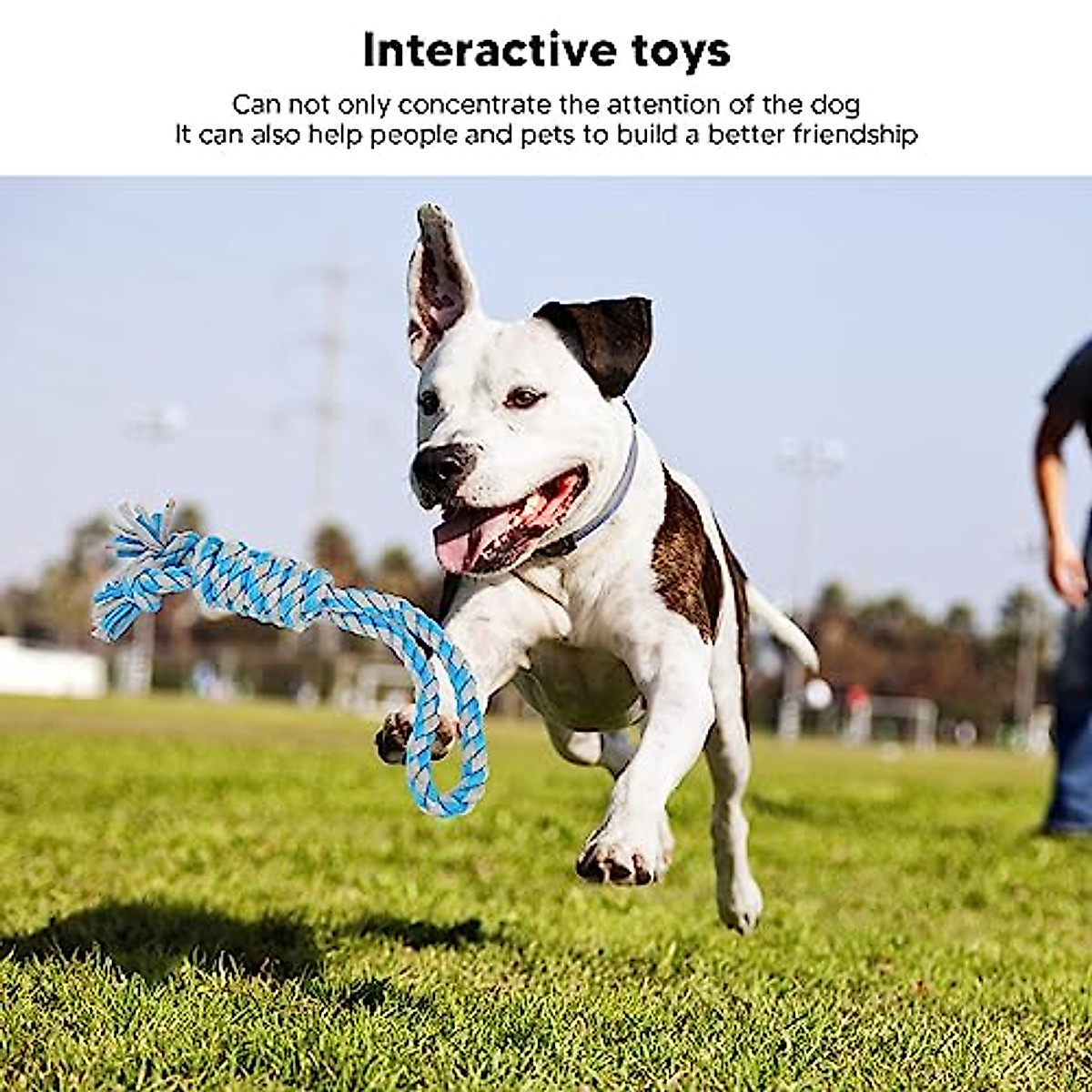 Plcnn Cotton Dog Chew Rope Toys Rope Toy for Large Dogs, Dental Cleaning Chew Toys, Dog Tug Toy for Boredom, Dog Rope Toy for Aggressive Chewers(Blue (for Alcantara 4175))