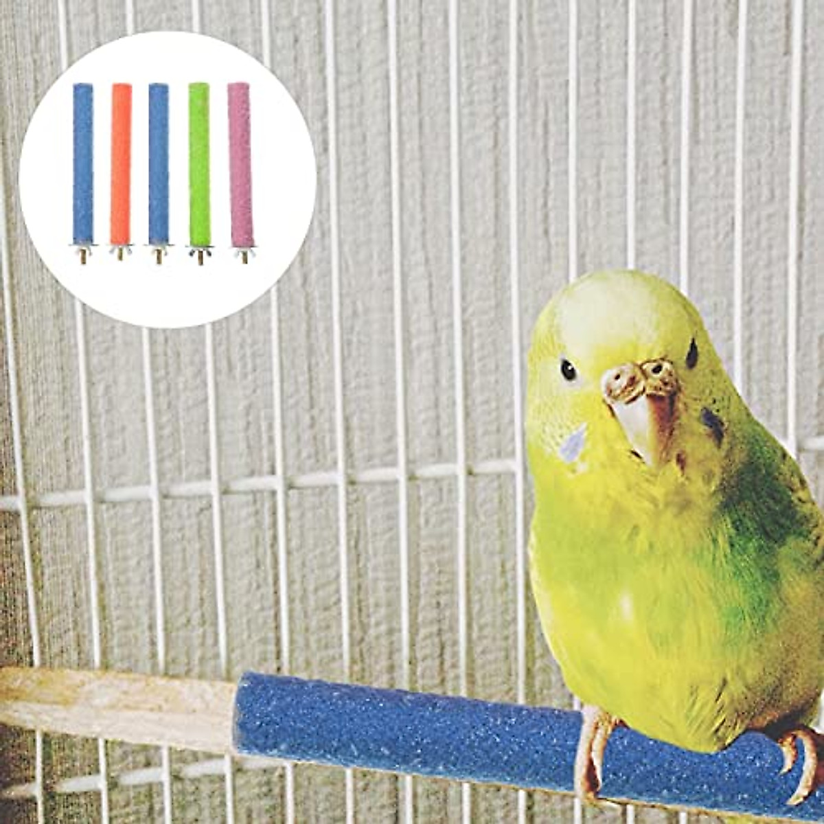 5pcs Grinding Budgies Wooden Parakeets Hanging Stand Conure Food Accessories Cage Cockatiel Balance Bird Climbing Standing for Parakeet Bowl Birdcage Toy: Bite Cockatiels Natural