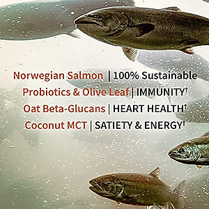 Garden of Life Norwegian Salmon & Vanilla Plant Based Protein with Pea & Fava Plus Immune Support with Probiotics for Digestion & Immunity – Dr Formulated MD – Non GMO, Carbon Neutral, 14 Servings