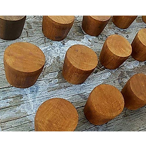 10 (ten) Bung Plug Stoppers For Wine Barrels