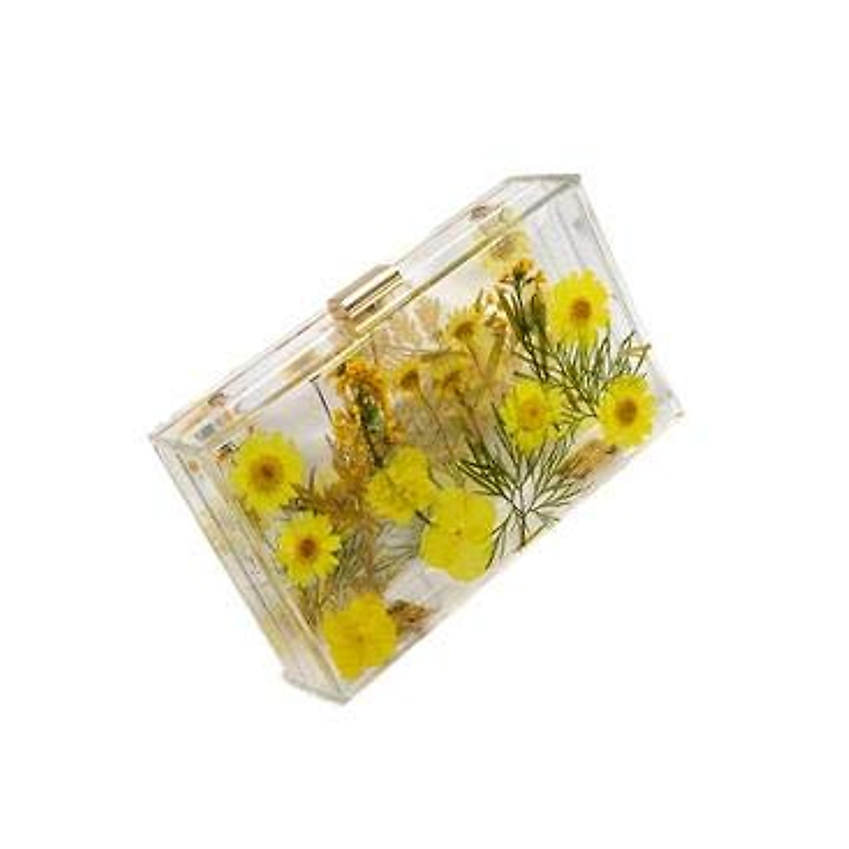 Transparent Floral Imprinted Acrylic Box Clutch