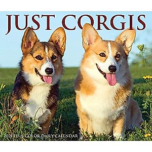 Just Corgis 2021 Box Calendar (Dog Breed Calendar)