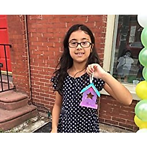 Oojami Design Your Own Wooden Birdhouses 12 Bird House Bulk (Modern)