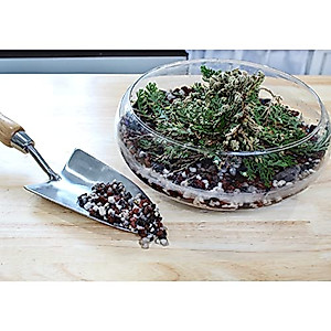 Rose of Jericho Planting Stones (2 Quarts), Soilless Potting Mix for Planting Resurrection Plants in Water